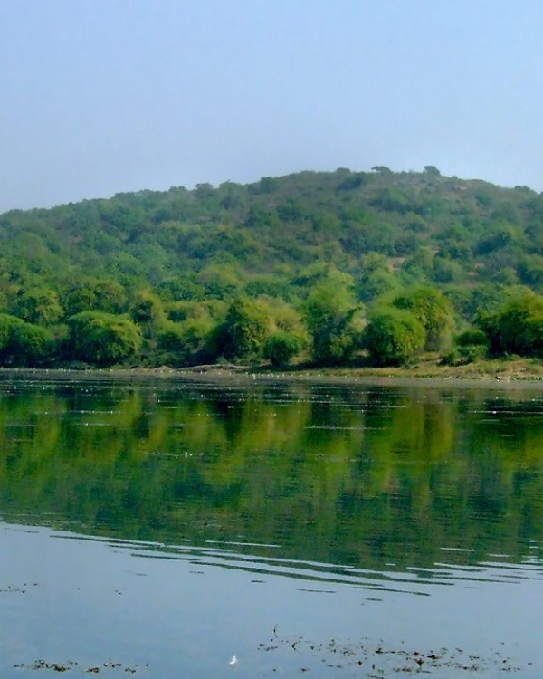 Come Glamping in Satkosia: The Ultimate Escapade- Eco Retreat Satkosia